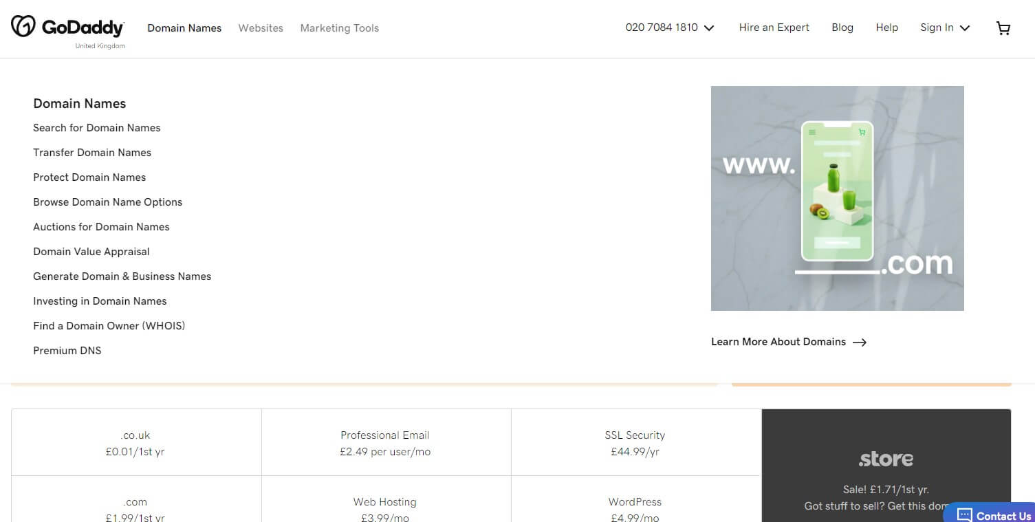 GoDaddy Review: The Best Web Hosting Service Out There?