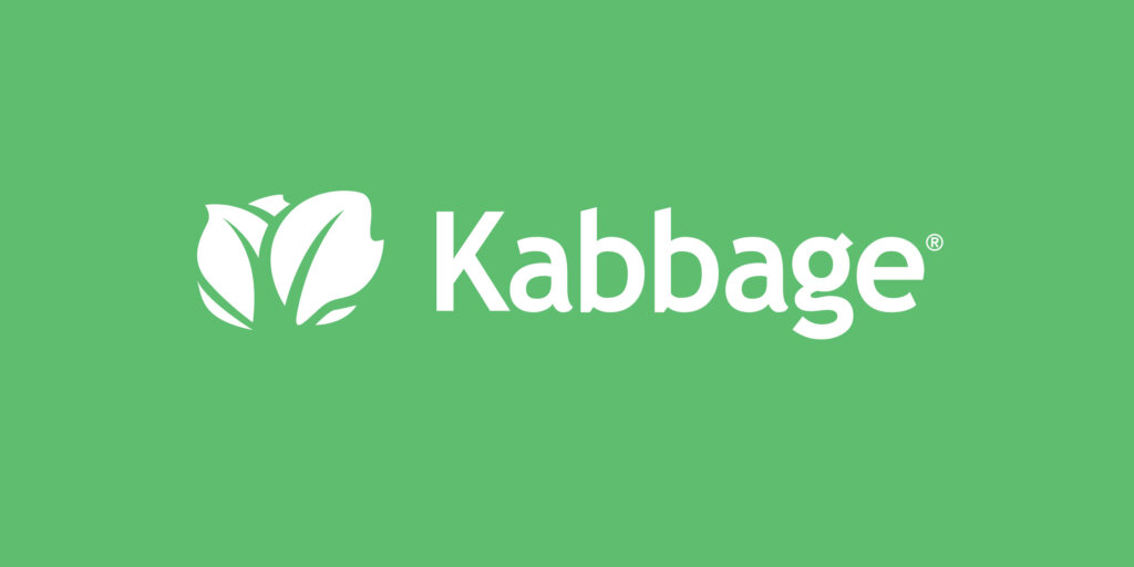 Kabbage Review 2024 – Easy Approval for Small Business Loans