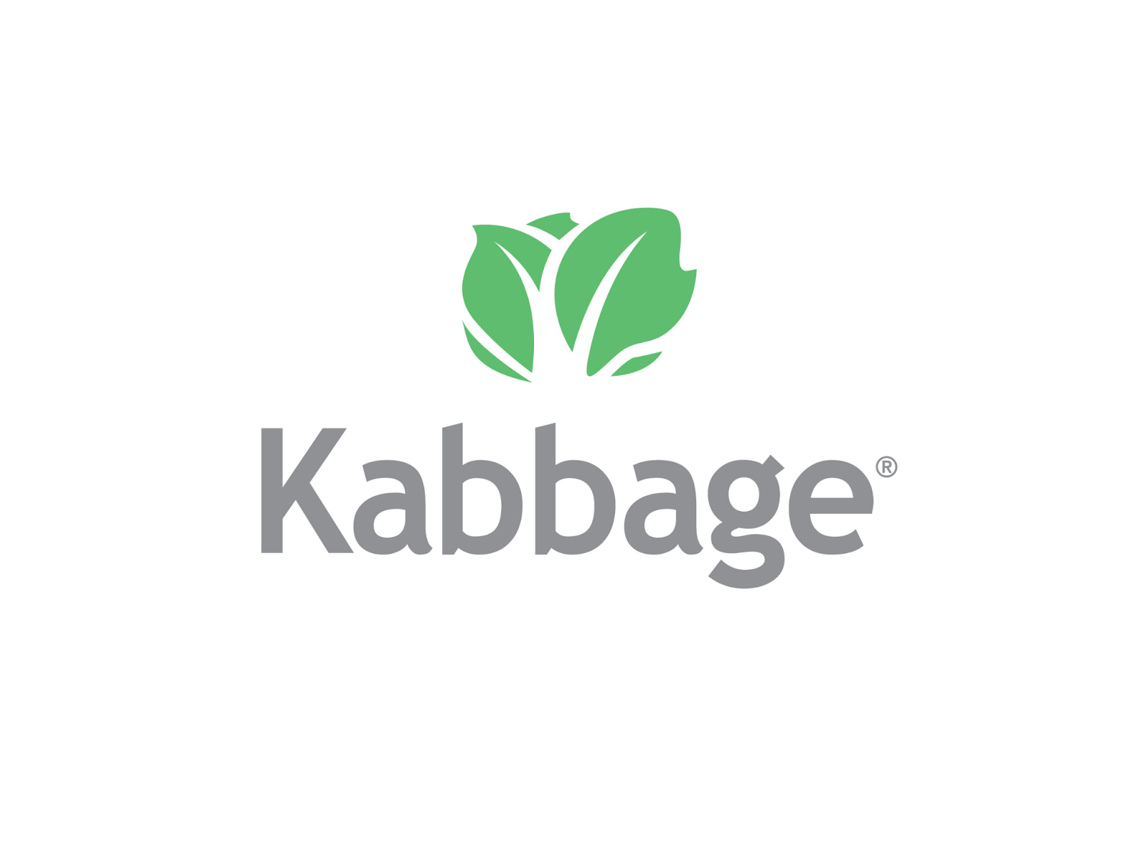 Kabbage Review 2024 – Easy Approval for Small Business Loans