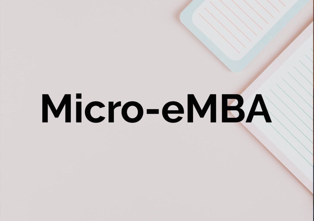 Free Micro-eMBA Guide: Business Training Program