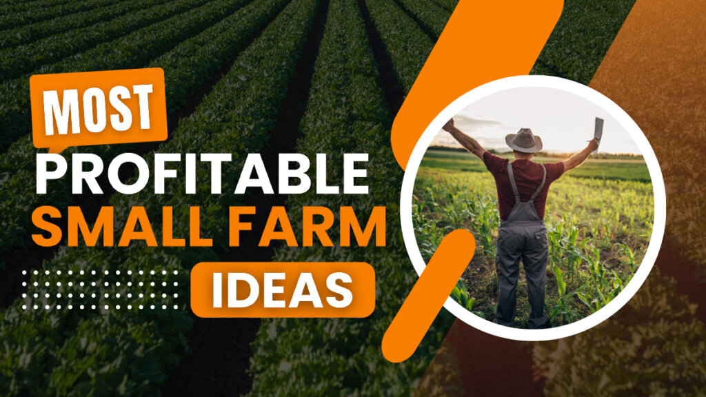 70 Most Profitable Small Farm Ideas